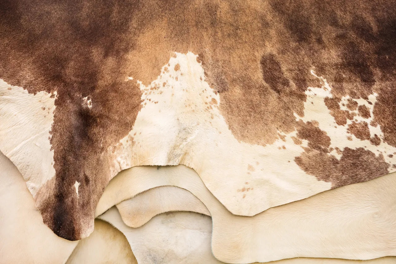 Shop Premium Cowhide Rugs for an Elegant Home Decor | Wide Selection ...